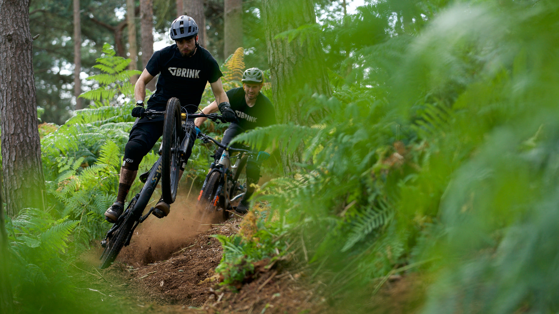 About Brink – BRINK